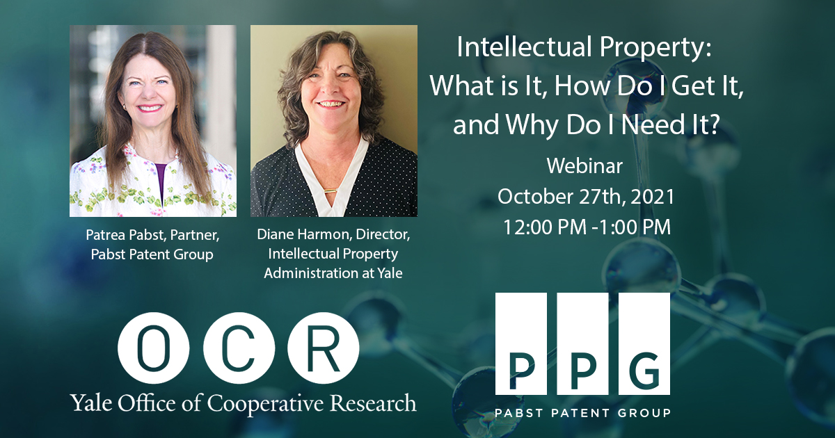 Pabst Patent Group LLP | Join Patrea Pabst for “Intellectual Property ...